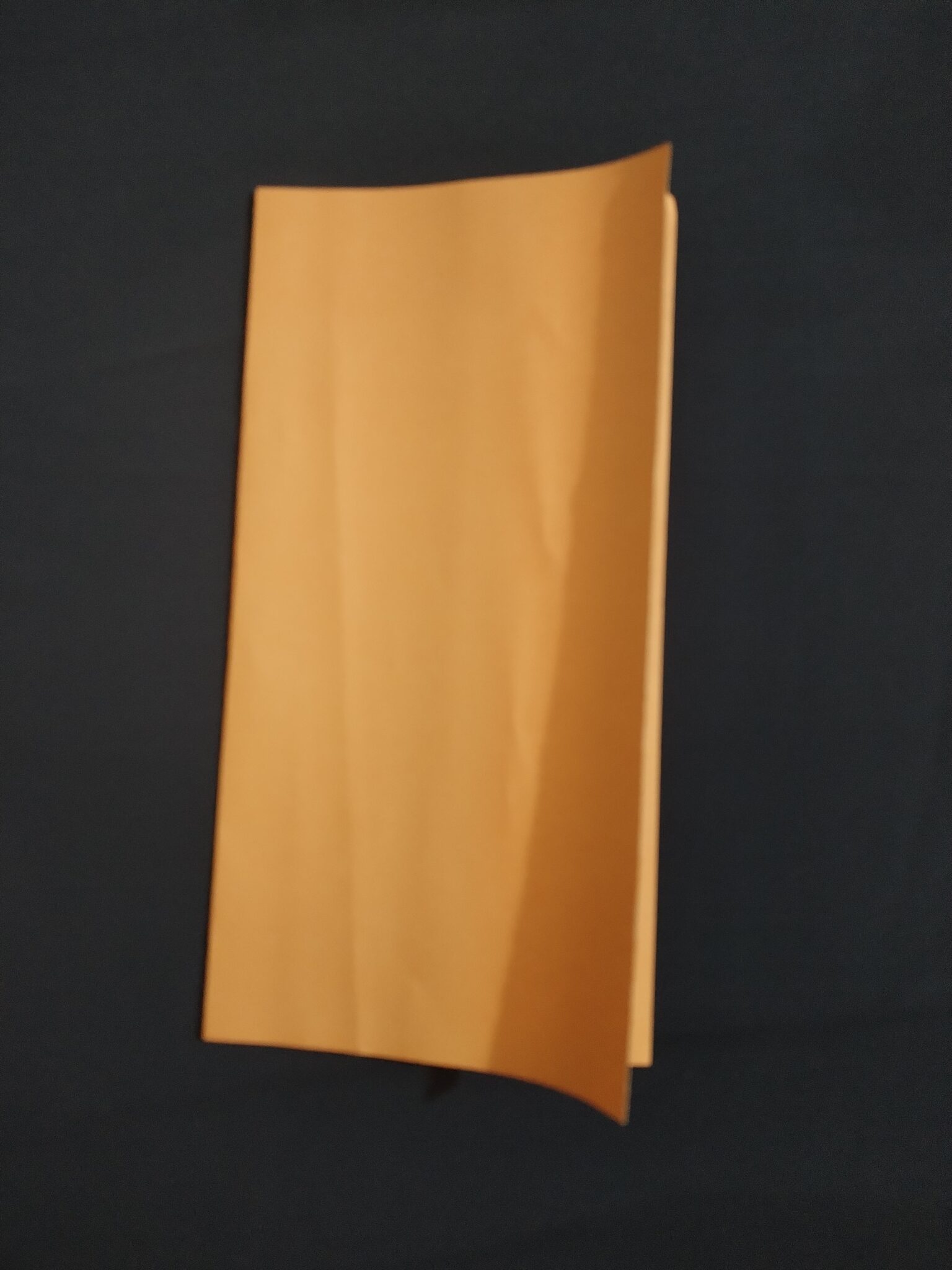 How to Make an Origami 5 Petal Flower Step by Step.