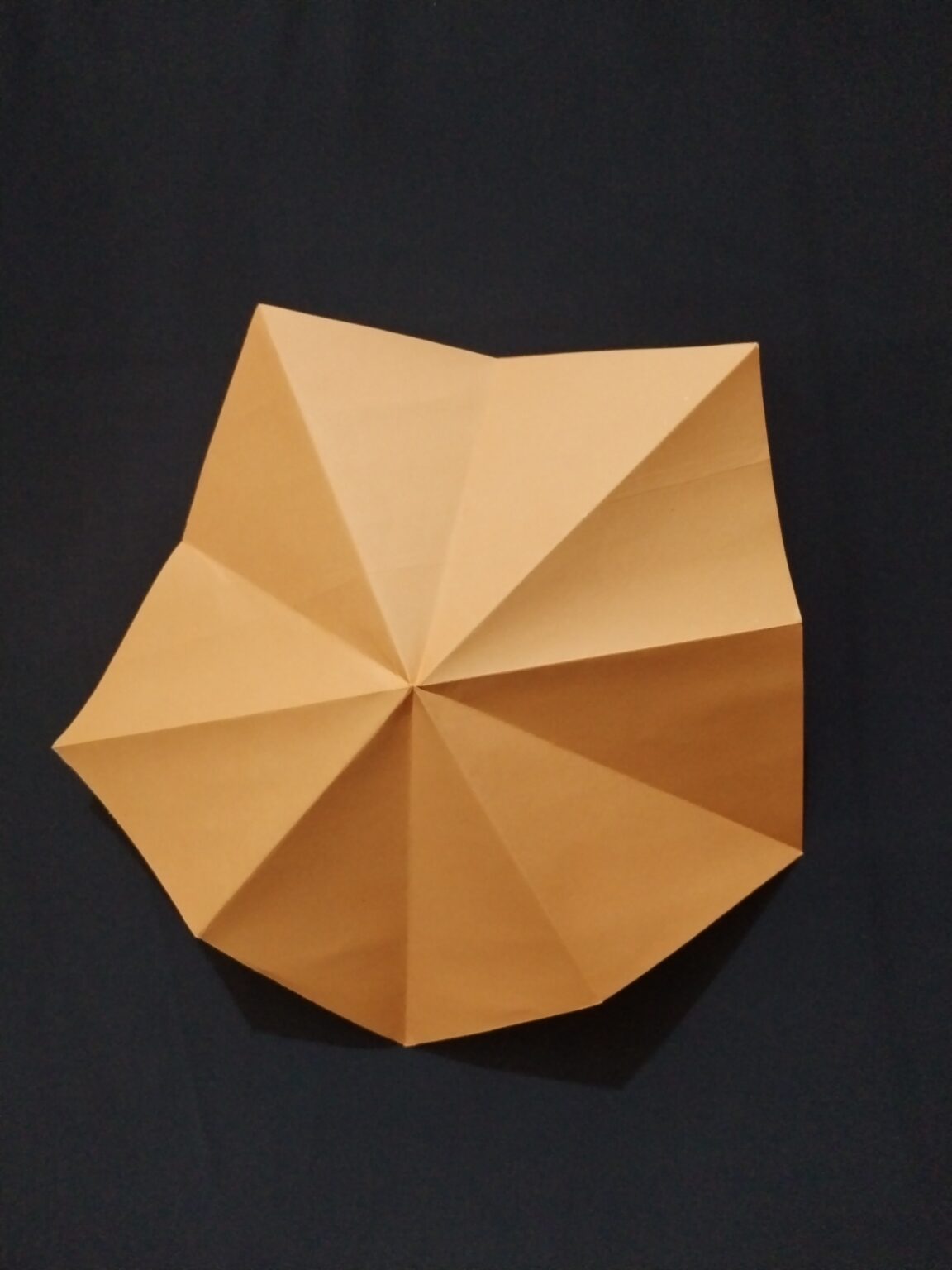 How to Make an Origami 5 Petal Flower Step by Step.