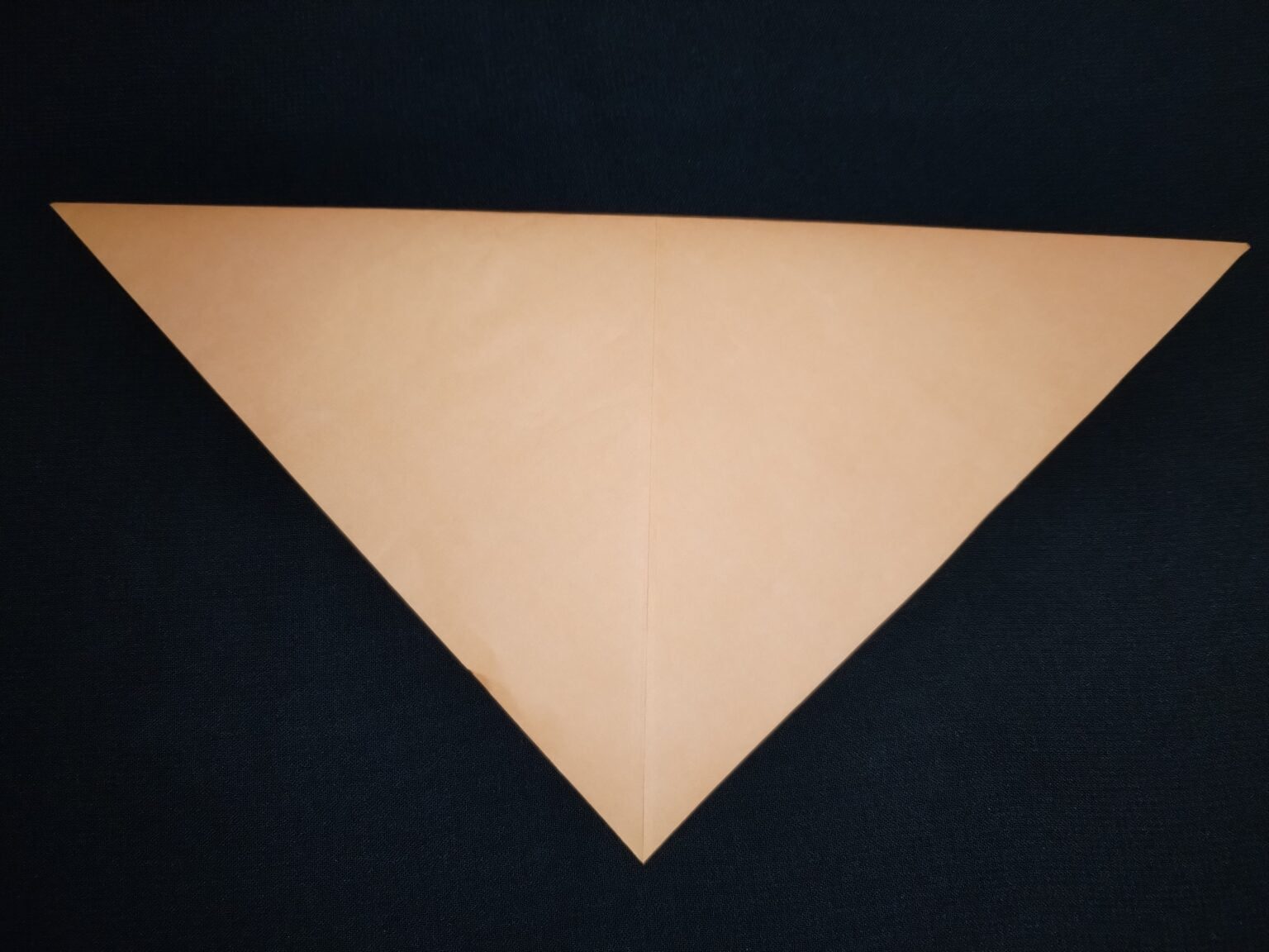 Origami Poppy Flower - A Complete Beginners Guide