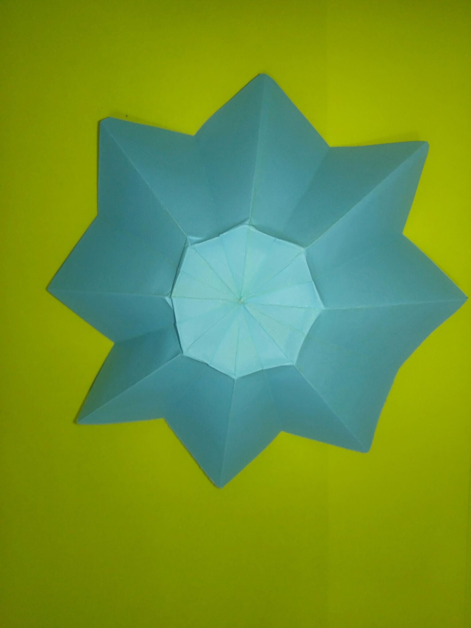 How To Make Origami Daisy? Beginners Guide