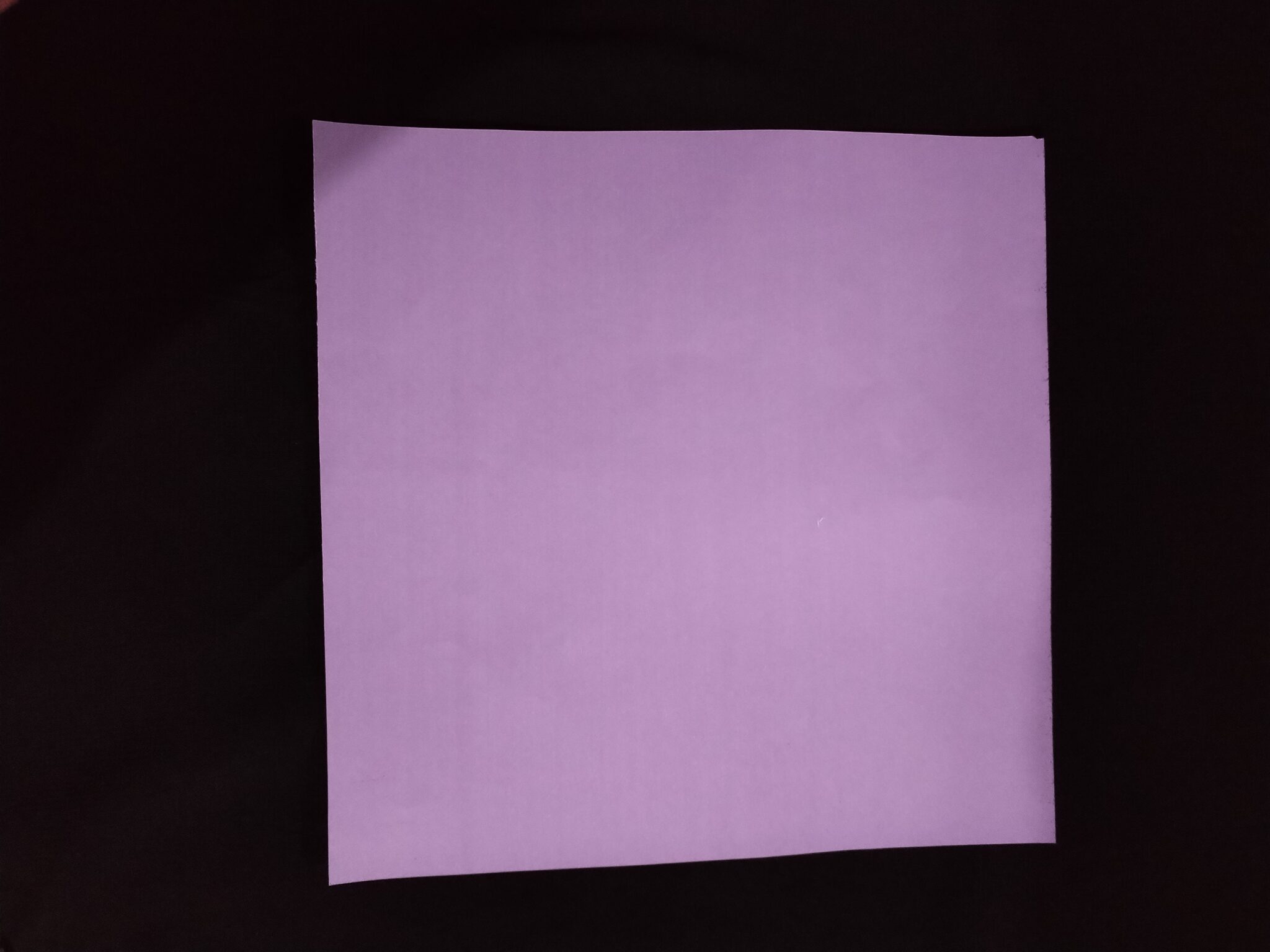 How to Make Origami Hibiscus Flower? Easy To Follow Instructions