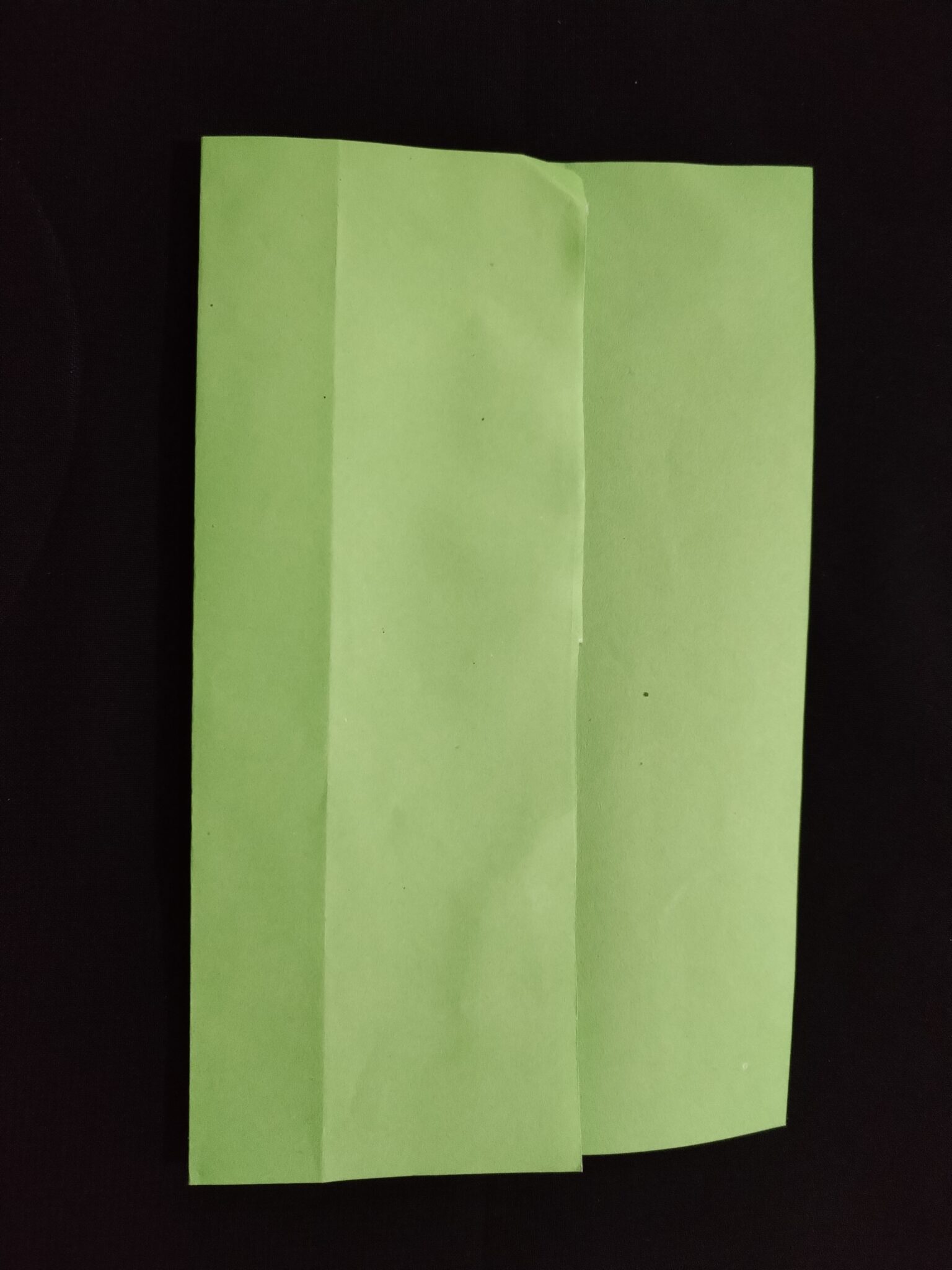How to Make Origami Hydrangea Flower? Easy To Follow Instructions