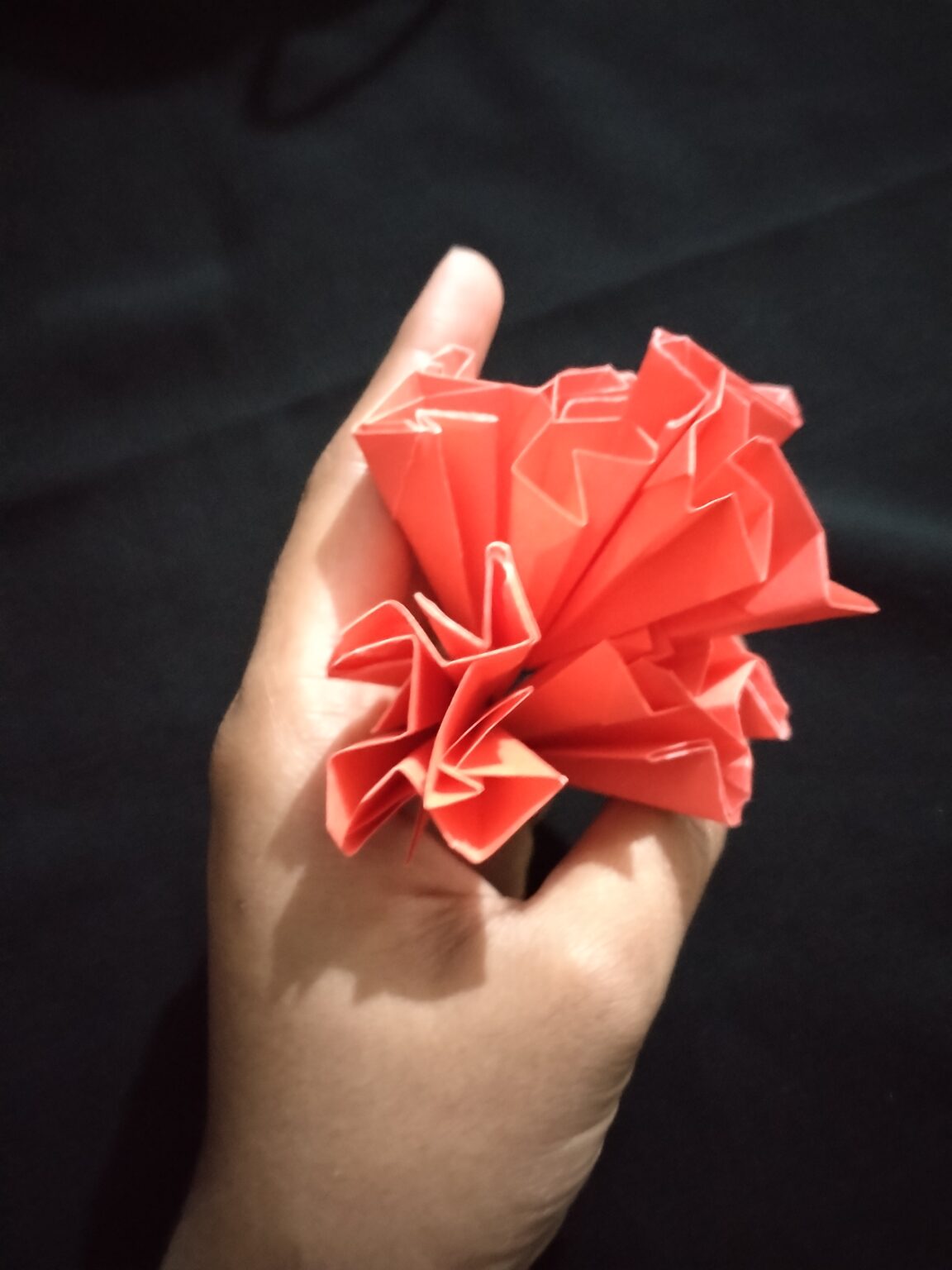 Origami Carnation Flower – Easiest Guide To Follow