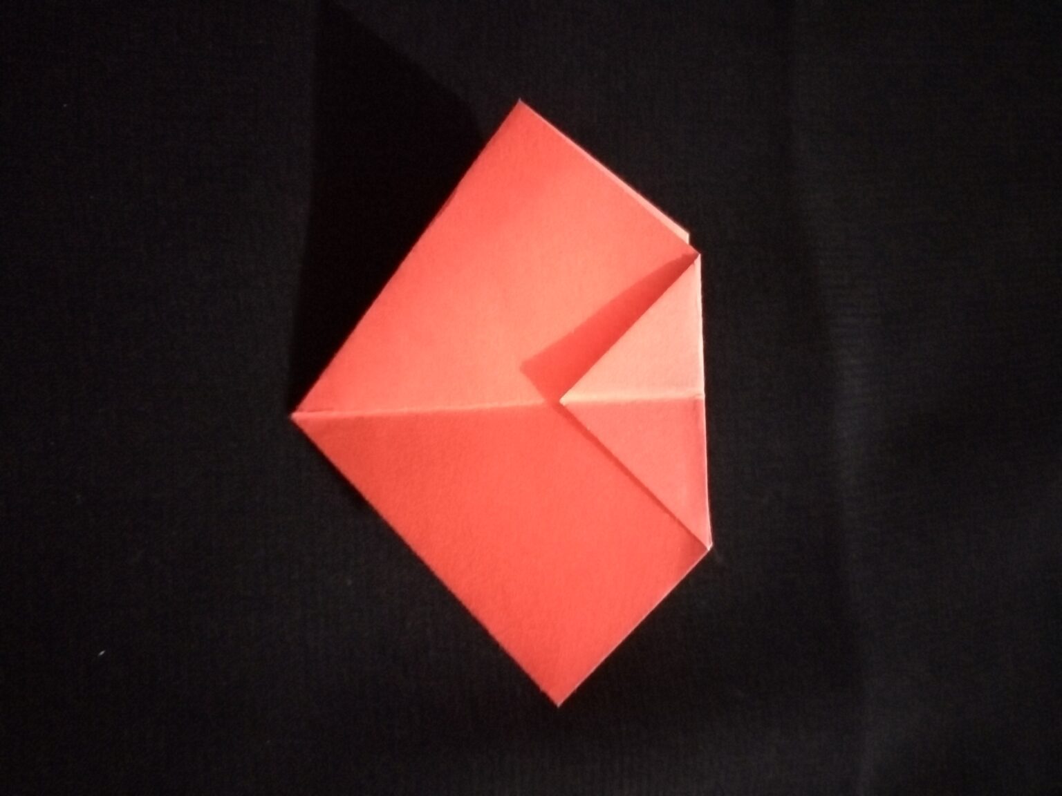 Origami Carnation Flower – Easiest Guide To Follow