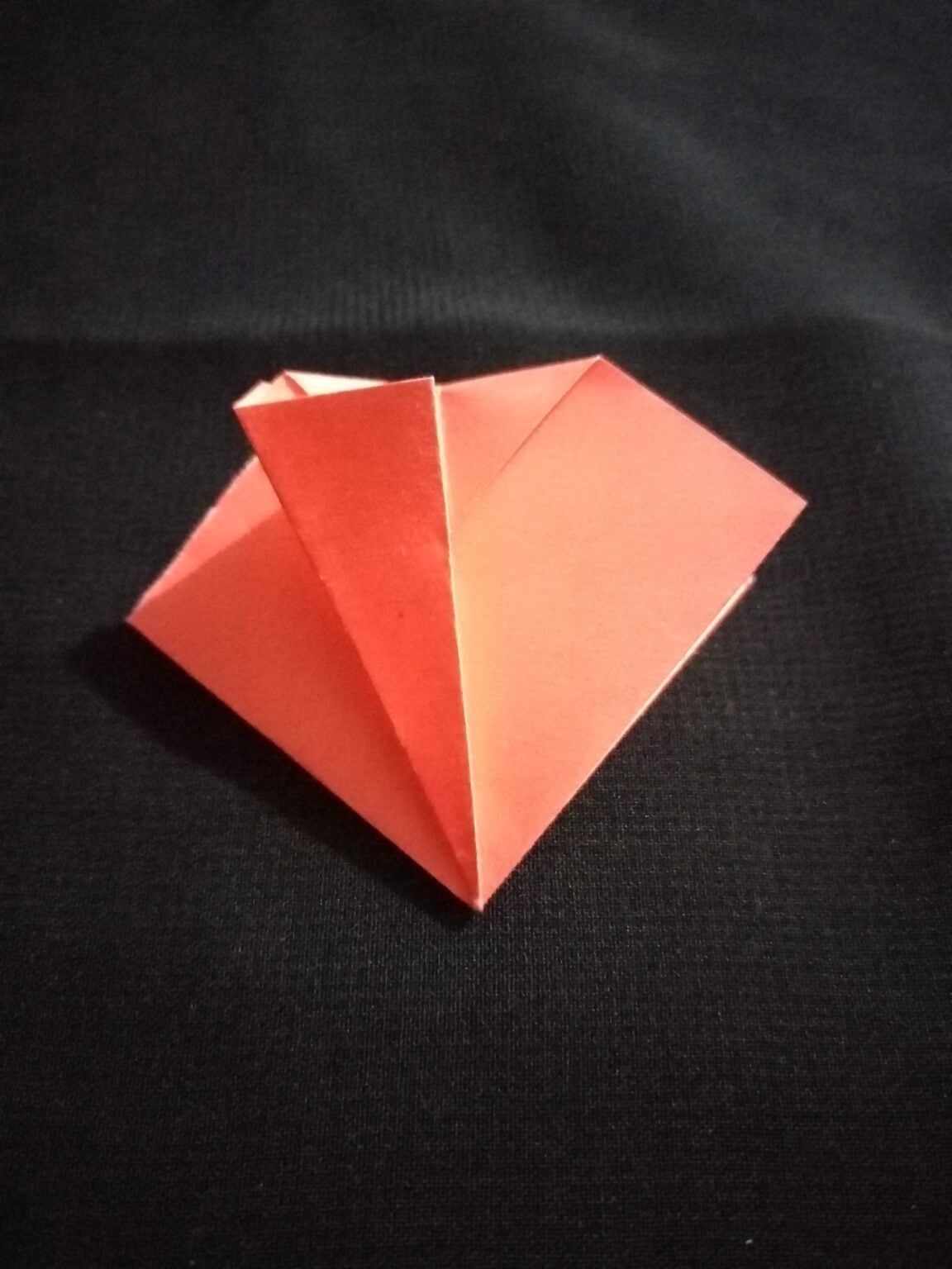 Origami Carnation Flower – Easiest Guide To Follow