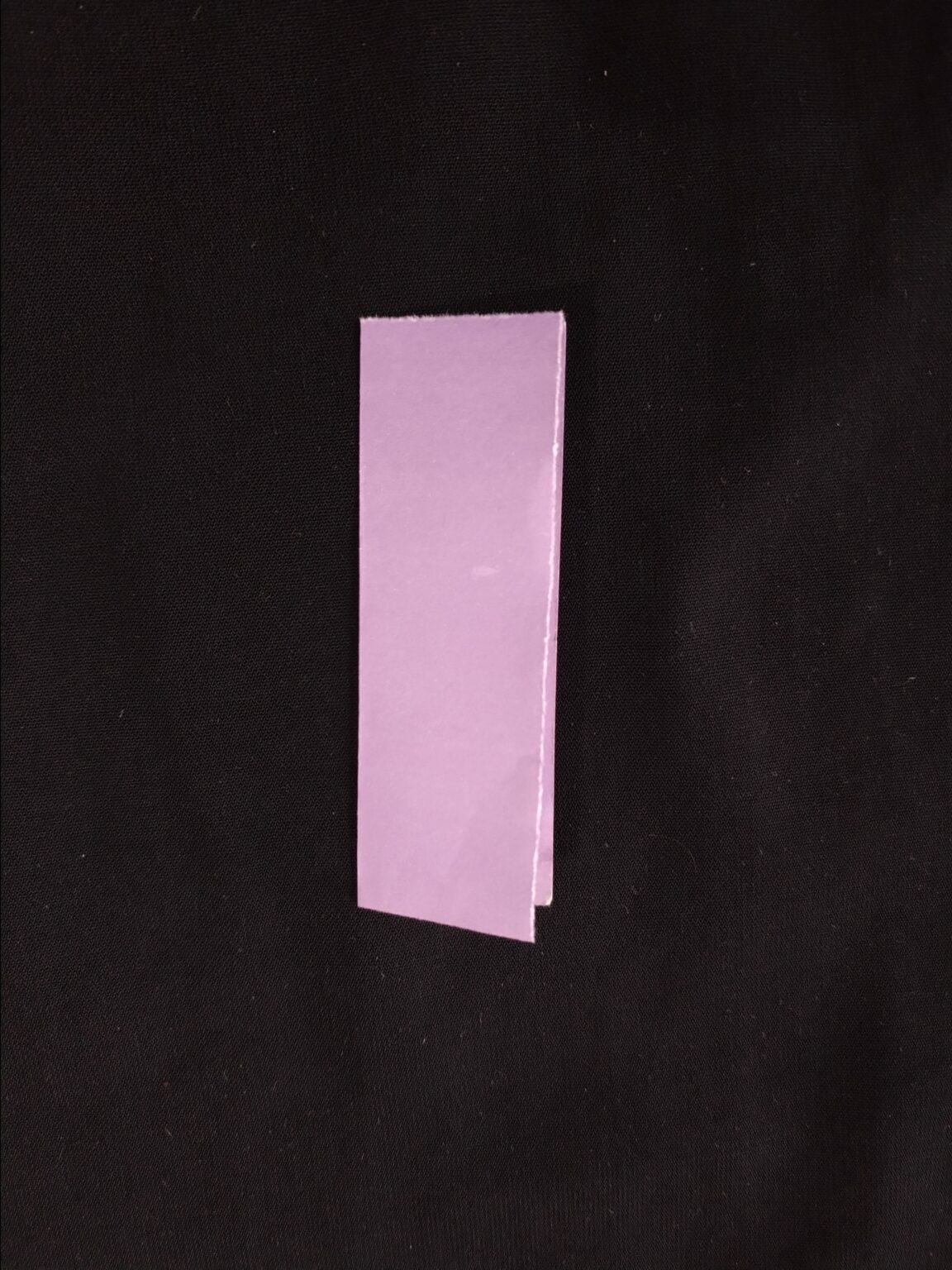 The Pteroplane Paper Airplane: Crafting Flight from A4 Sheets