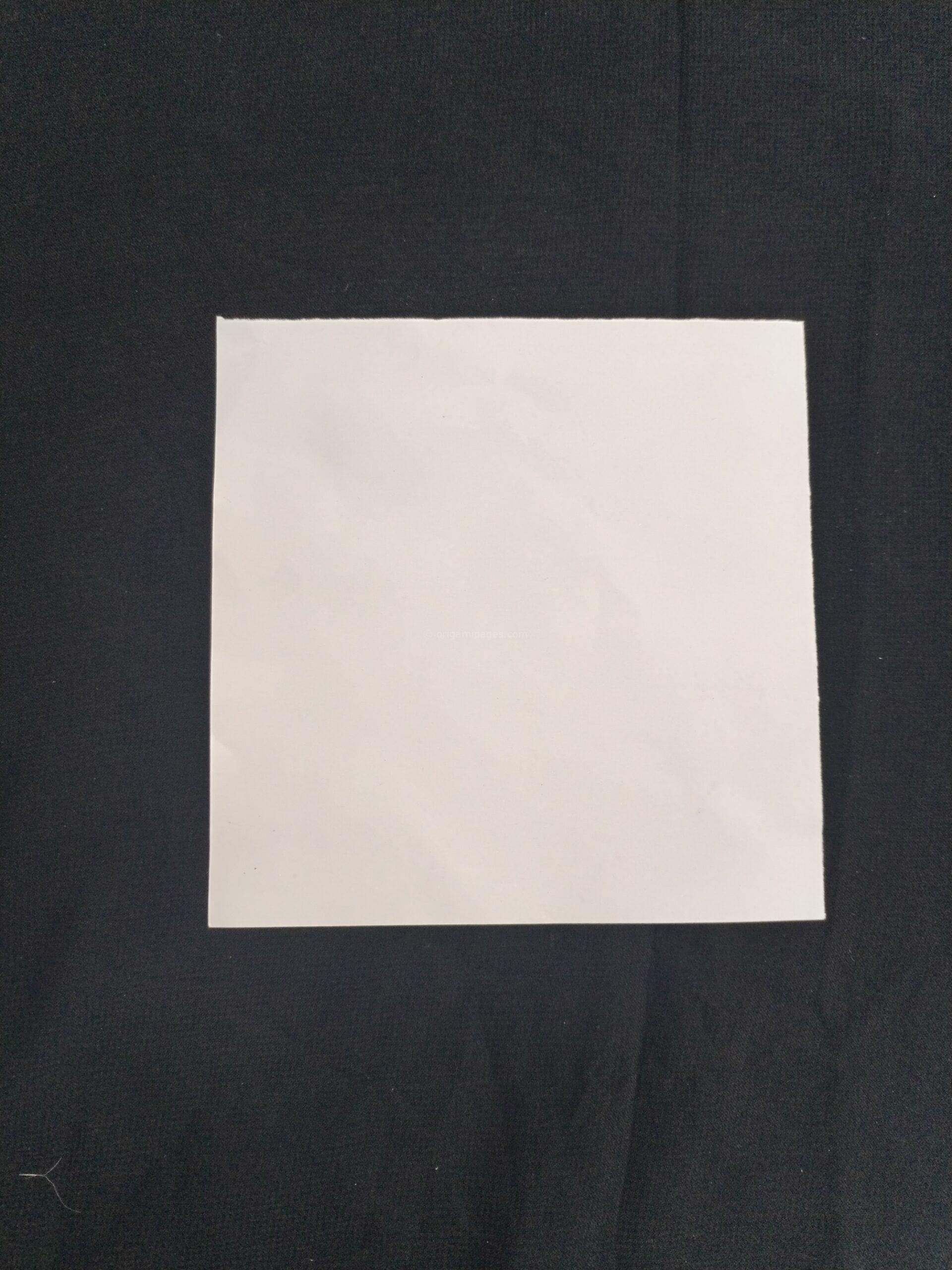 Origami Mushroom Folding Instructions