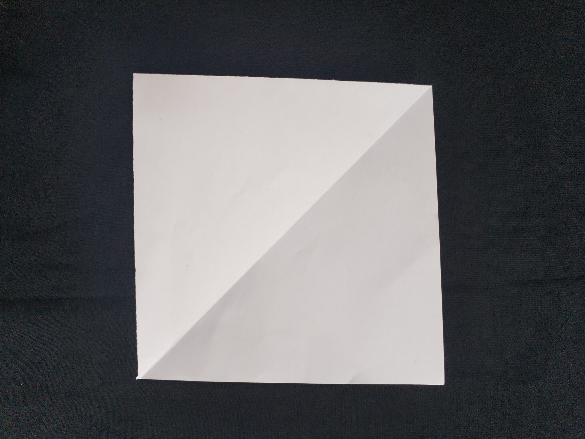 Origami Mushroom Folding Instructions