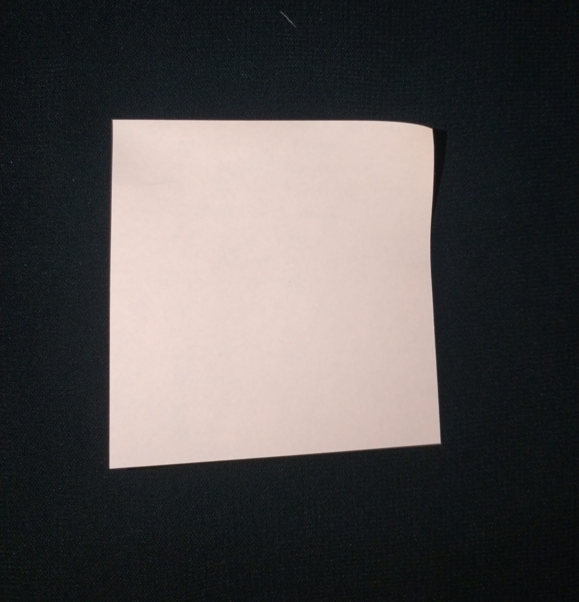 Sticky Note Origami Cat: A Step-by-Step Guide