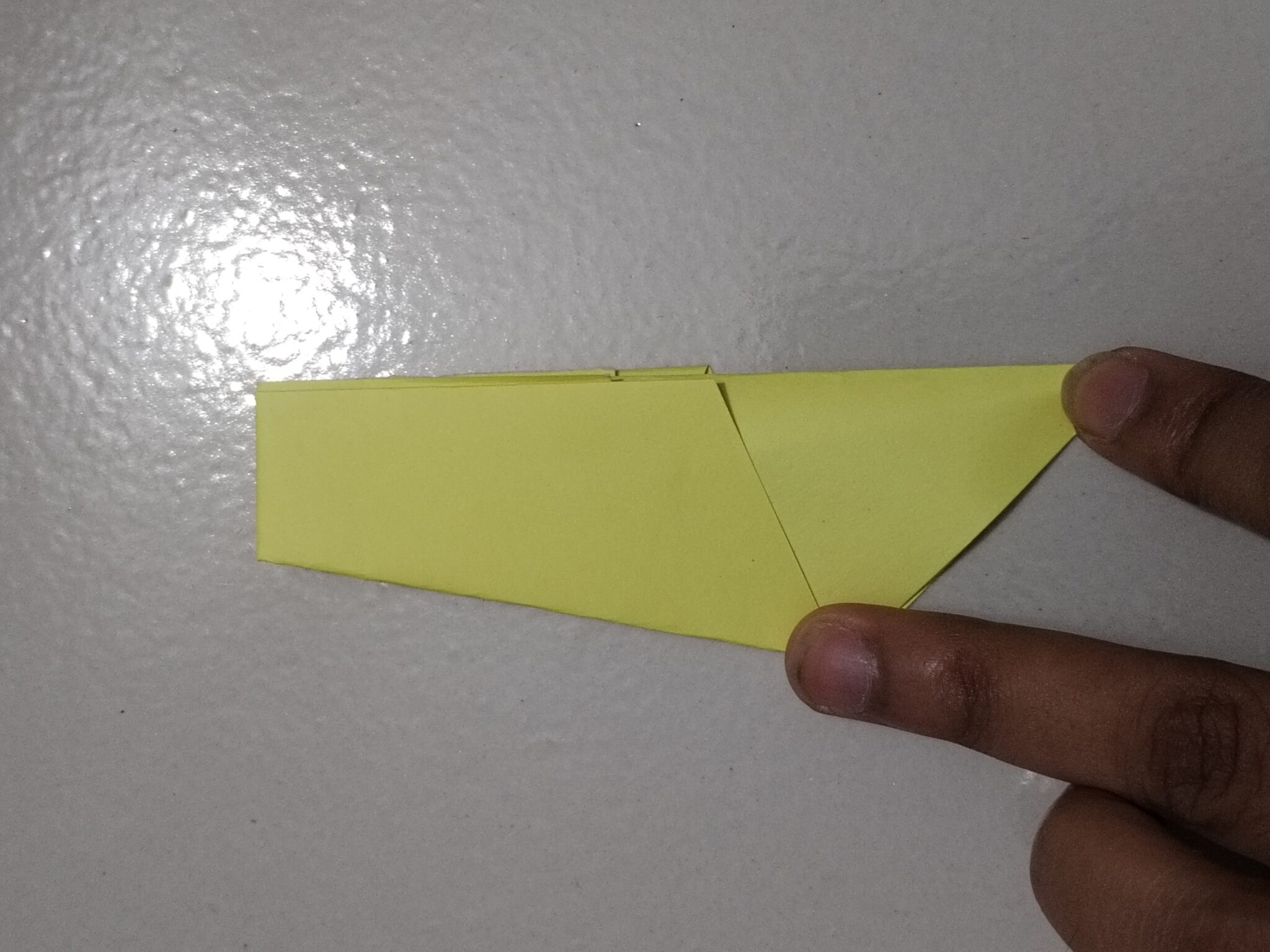 Origami Pelican: A Step-by-Step Guide for Beginners